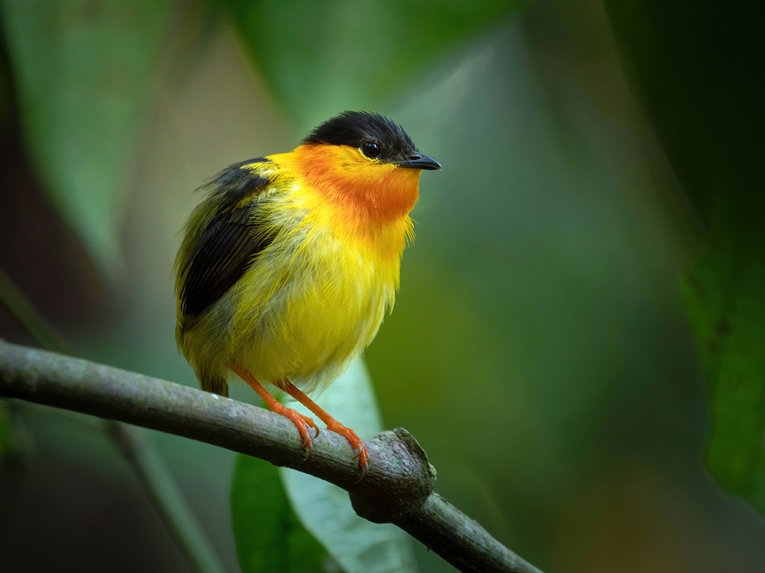 Evan T Photography – Different types of photography, with short and ...