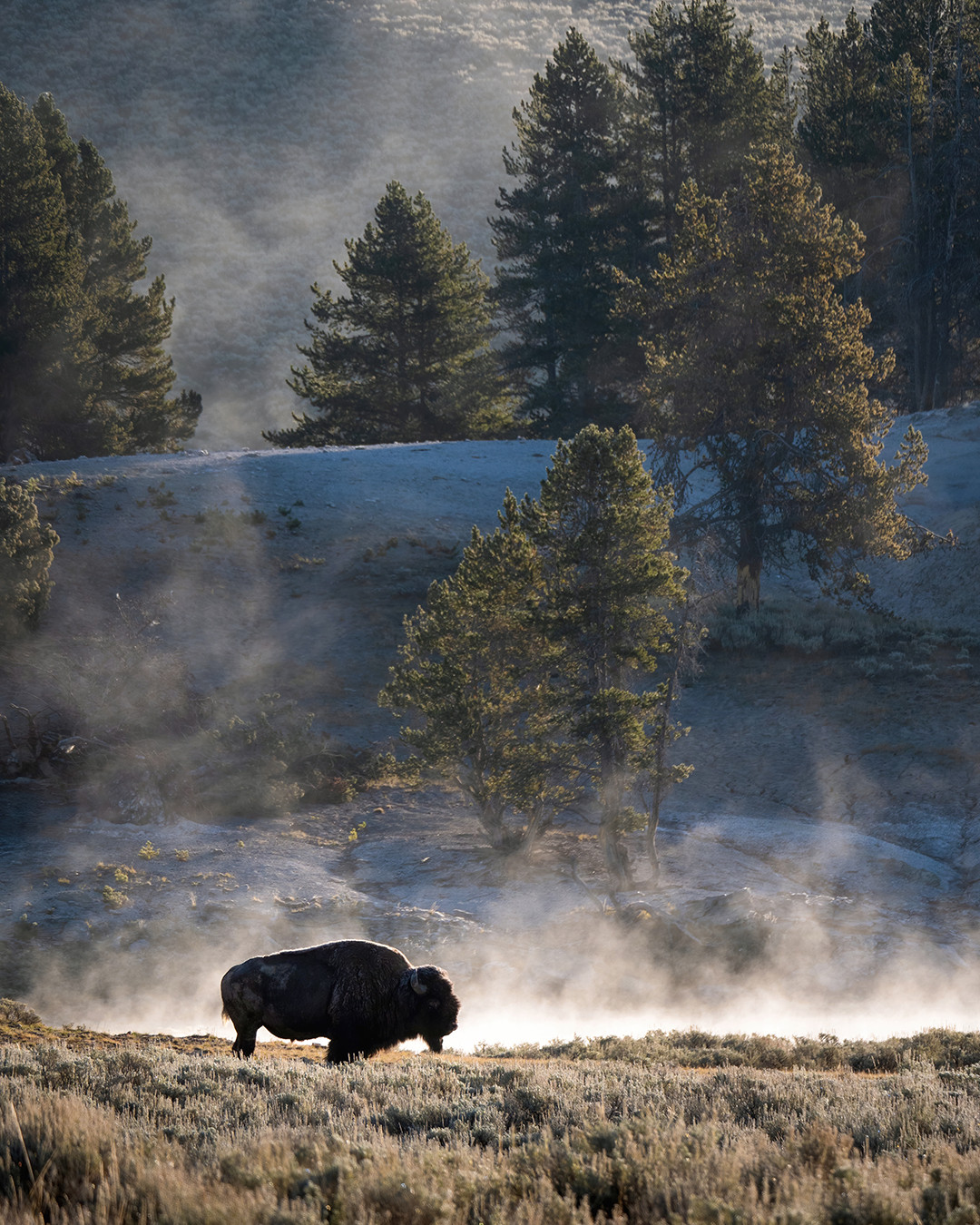 Evan T Photography – Different types of photography, with short and ...