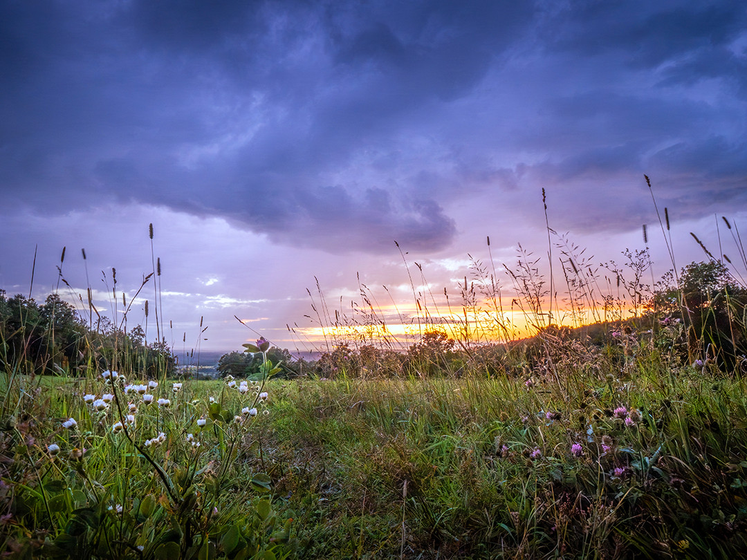 Evan T Photography – Different types of photography, with short and ...