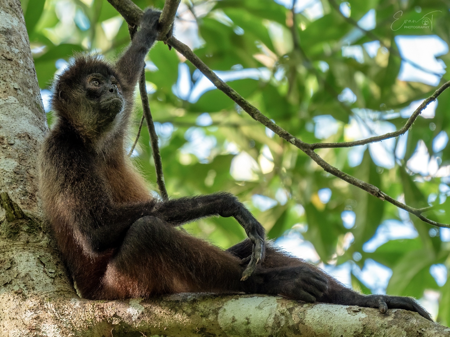 Evan T Photography – Different types of photography, with short and ...