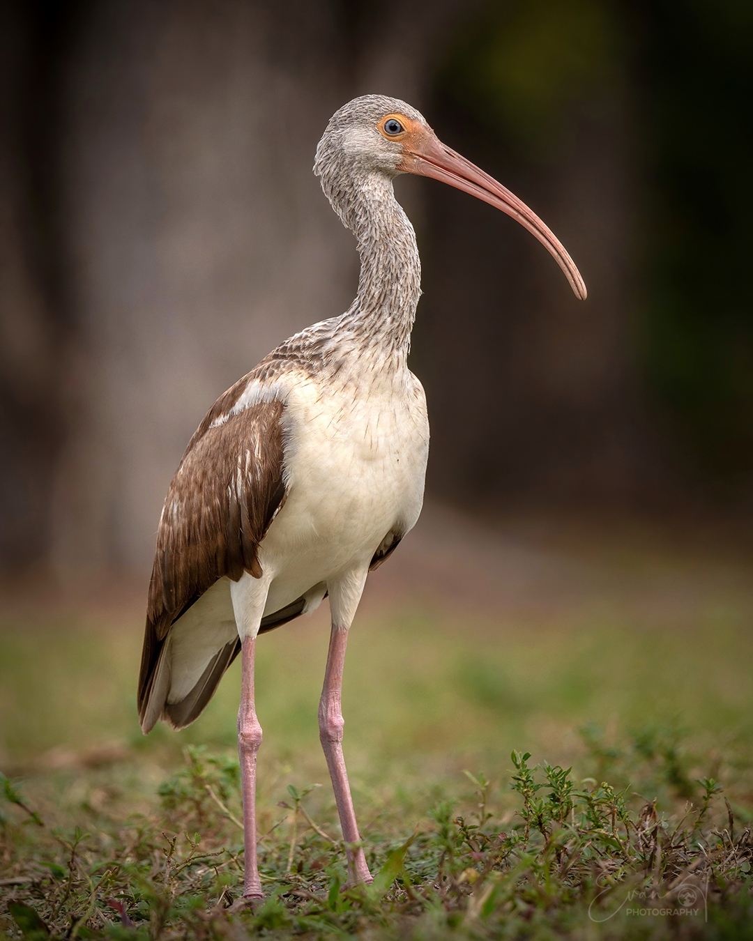 Hiking – Evan T Photography