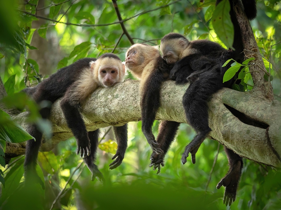 Hiking – Evan T Photography