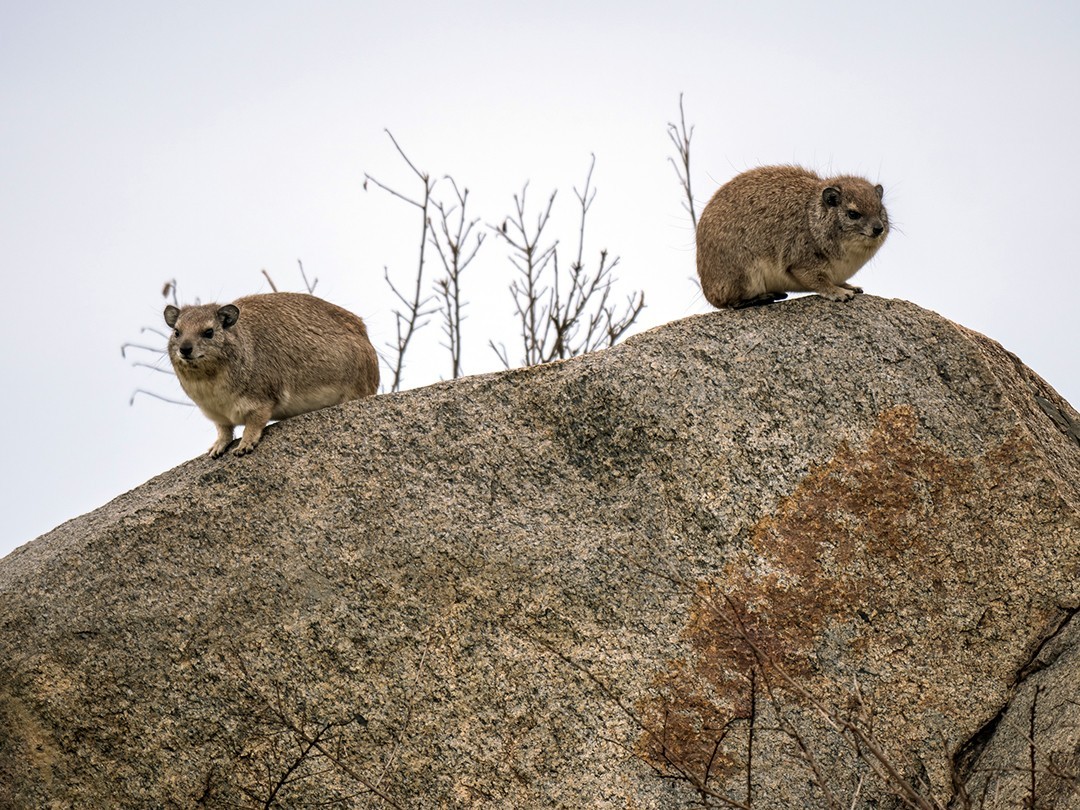 Evan T Photography – Different types of photography, with short and ...